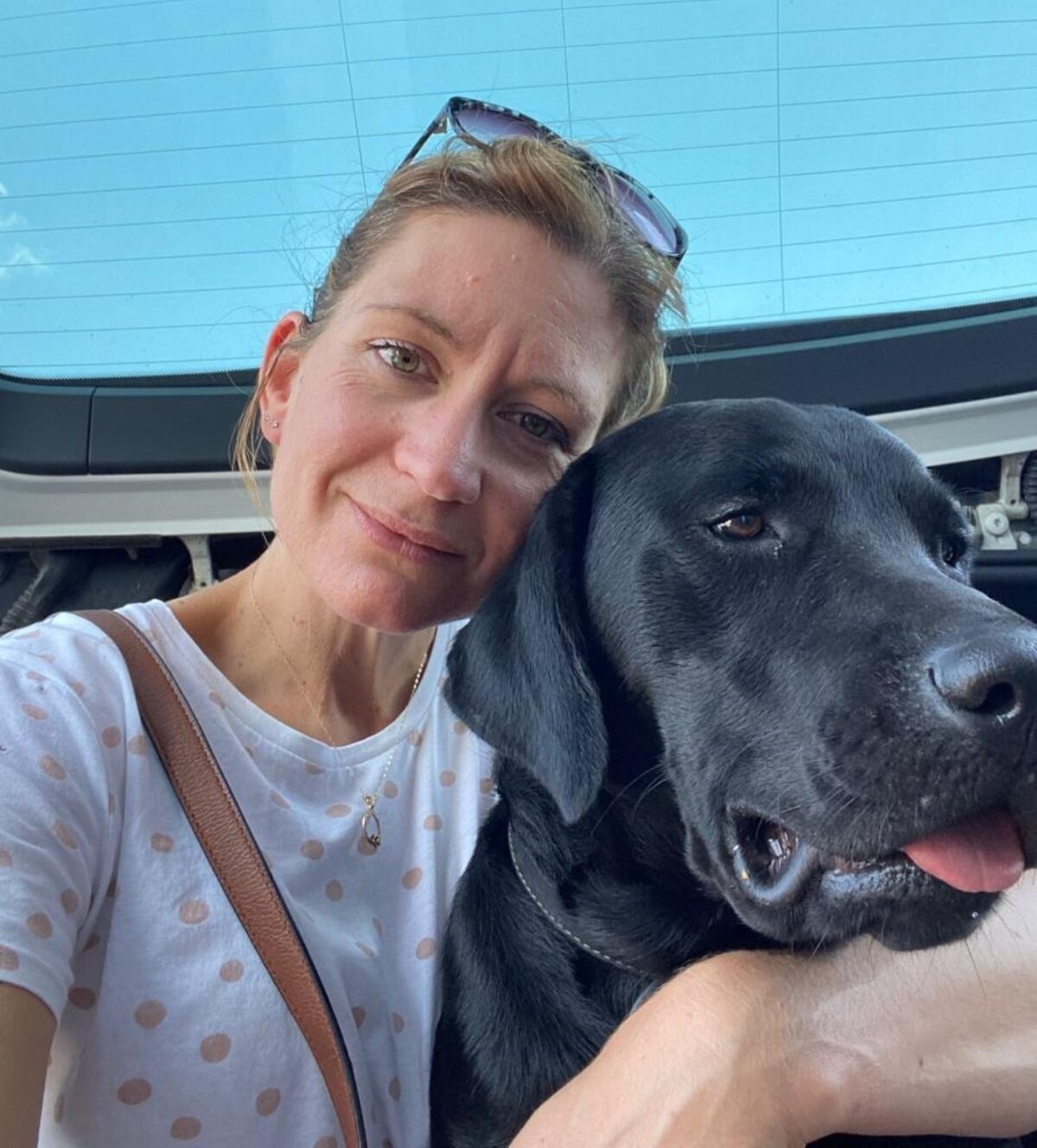 Meet Our Team | Lincoln Edge Vets