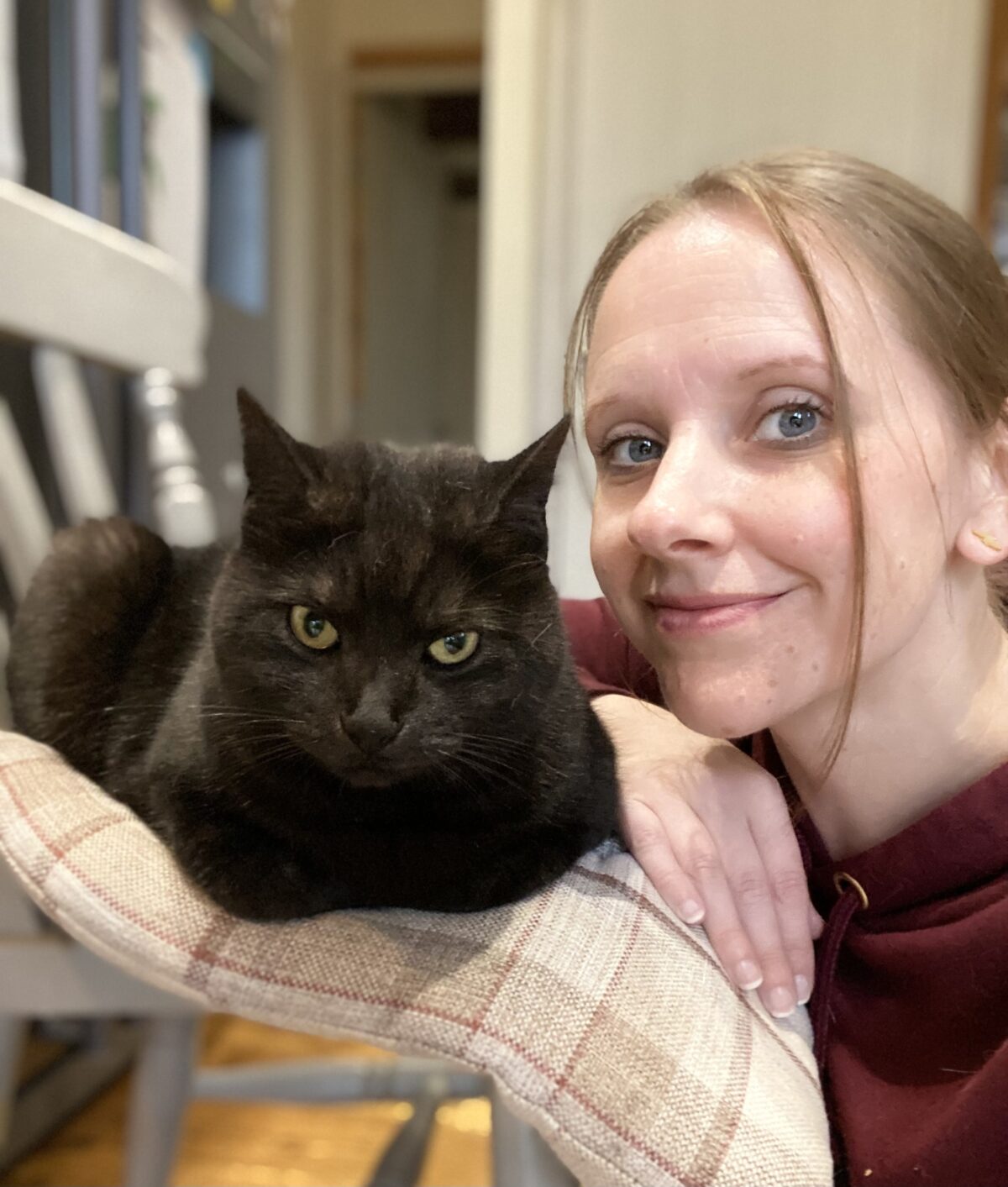 Meet Our Team | Lincoln Edge Vets